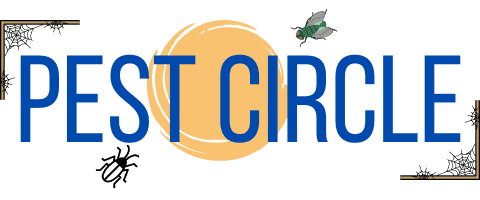 Using Windex to Kill Insects [How-to Guide] | Pest Circle